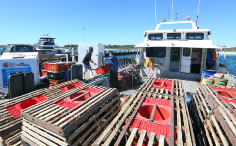 Lobster Production - Lobster Shack