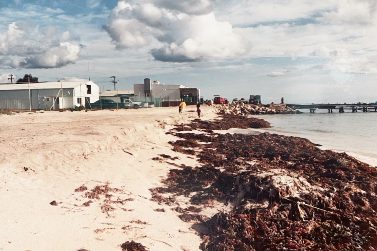 Our Story - Lobster Shack