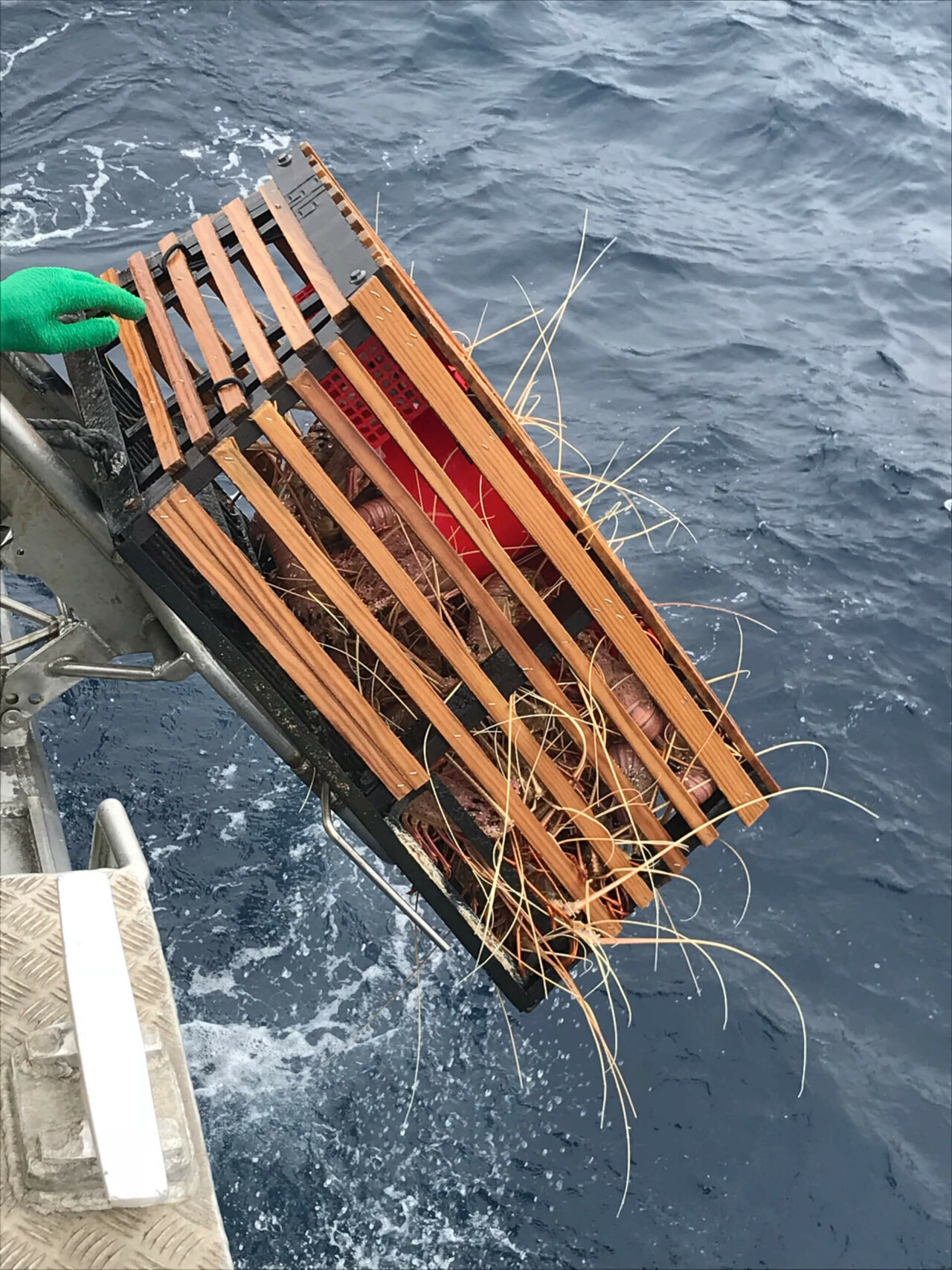 Our Story - Lobster Shack