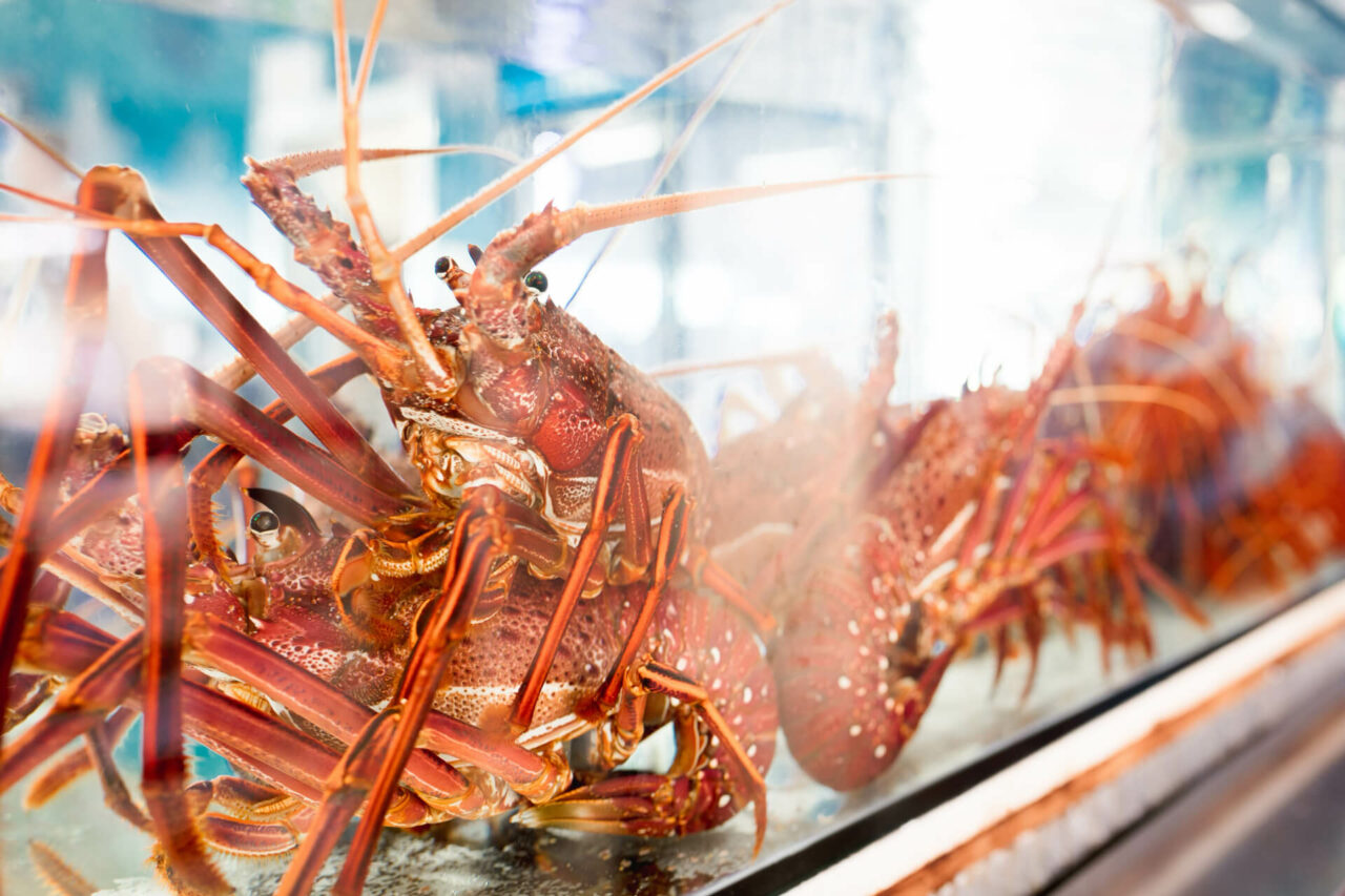 Our Story - Lobster Shack